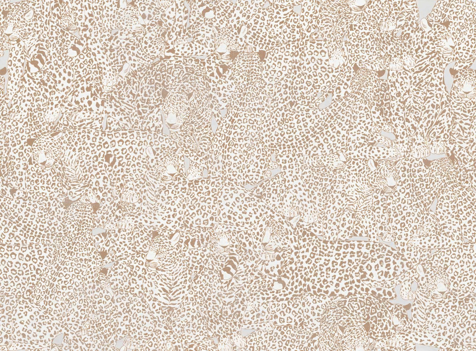 Cheetah Print Wallpaper - Exotic and Stylish Decor - Giffywalls